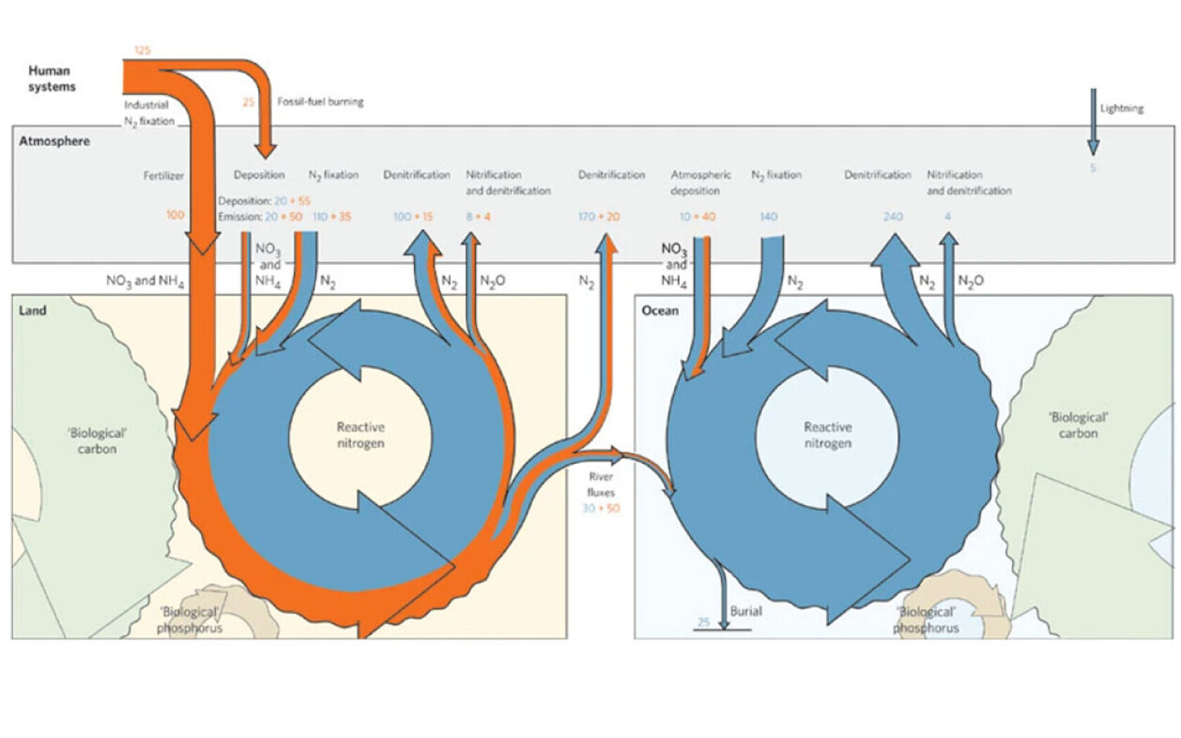 Balancing the nitrogen cycle - Elementar