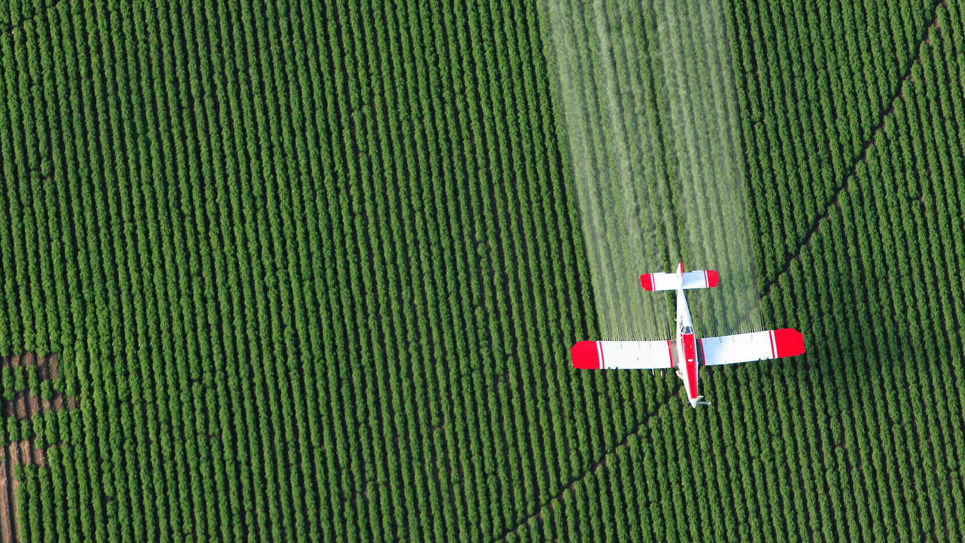 Instrumentation for soil, plant, and fertilizer analysis - Elementar