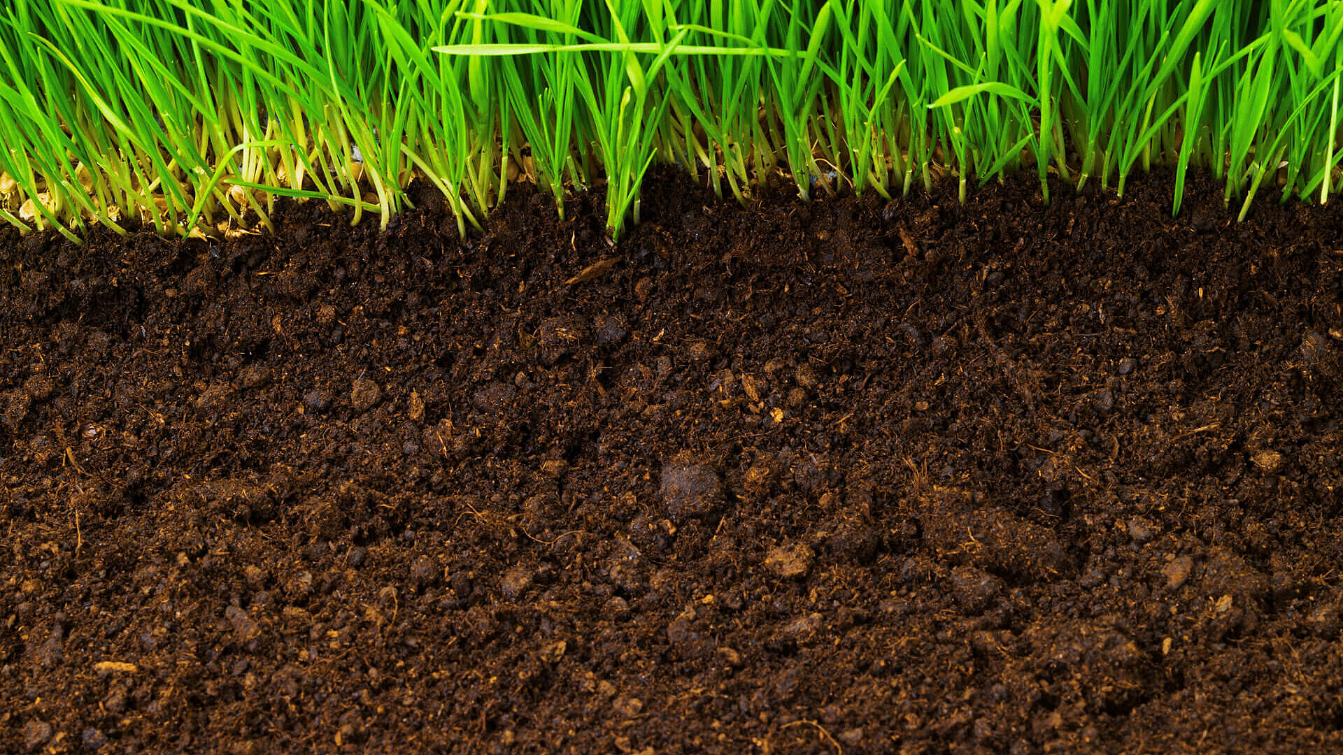 Organic, inorganic, and elemental carbon analysis in soil - Elementar