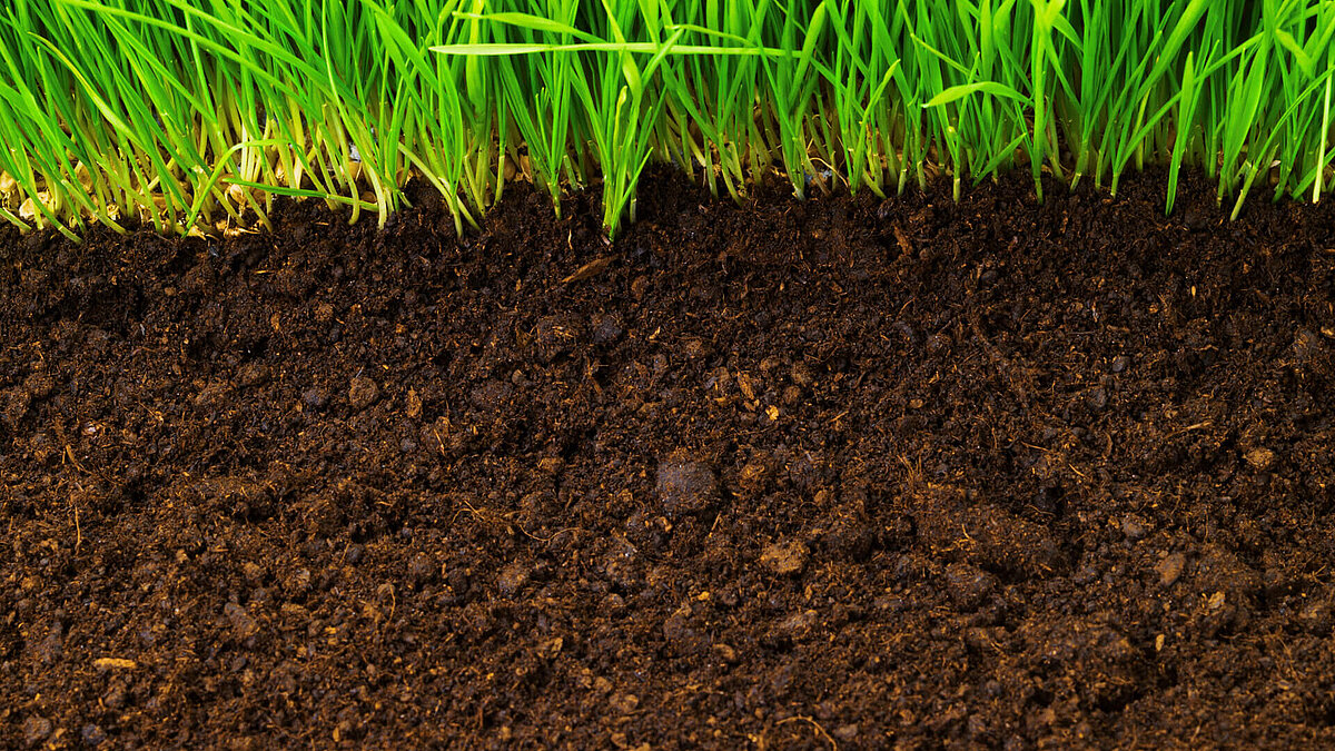 Determination of the nitrogen and carbon isotopic ratio in soil, sand ...