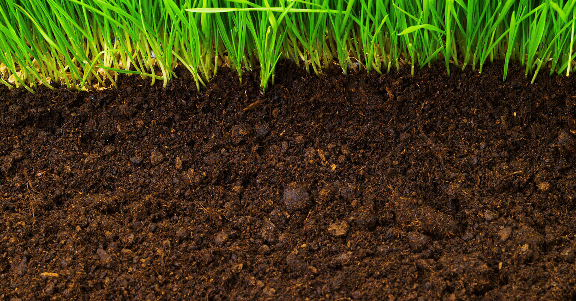 Organic, inorganic, and elemental carbon analysis in soil - Elementar