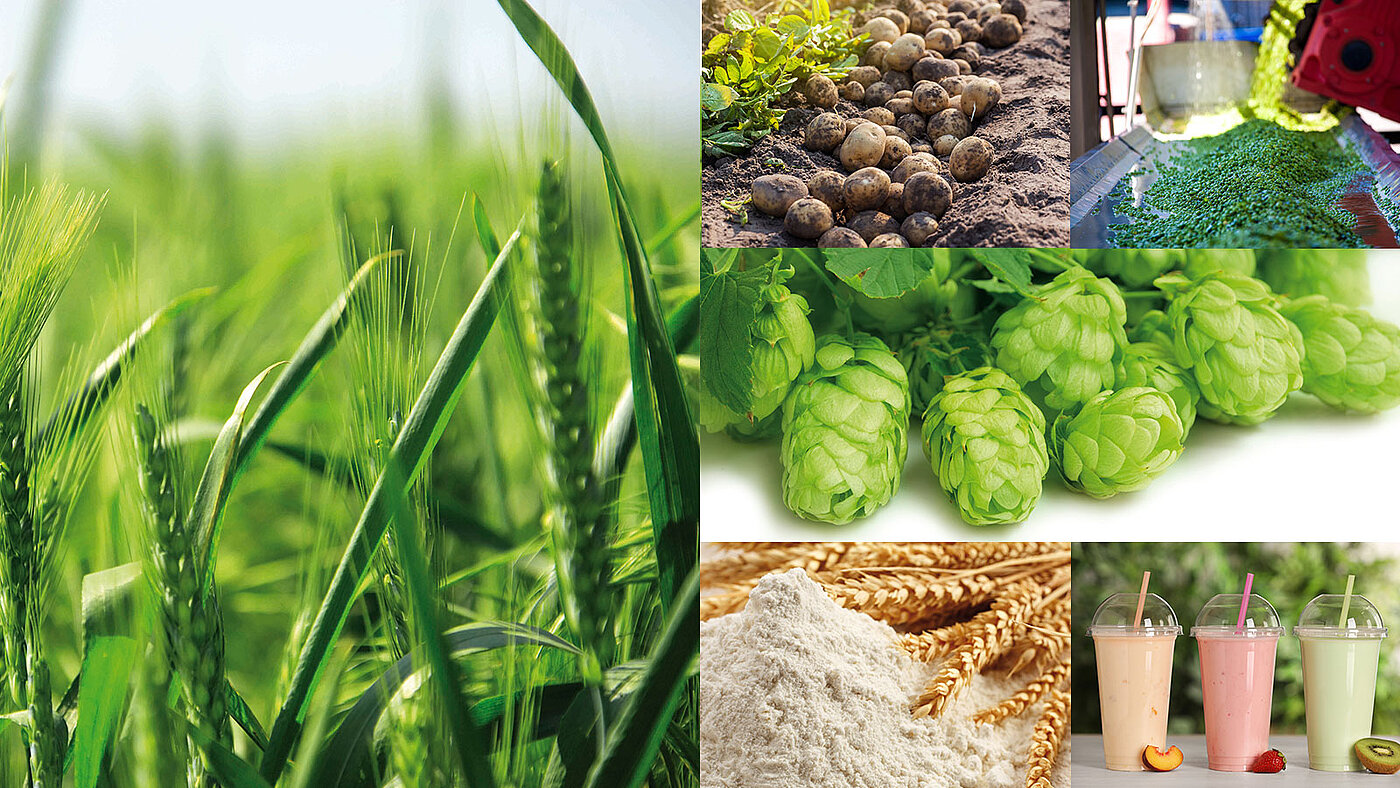 Stickstoff- und Proteinbestimmung in Lebensmitteln nach der Dumas ...