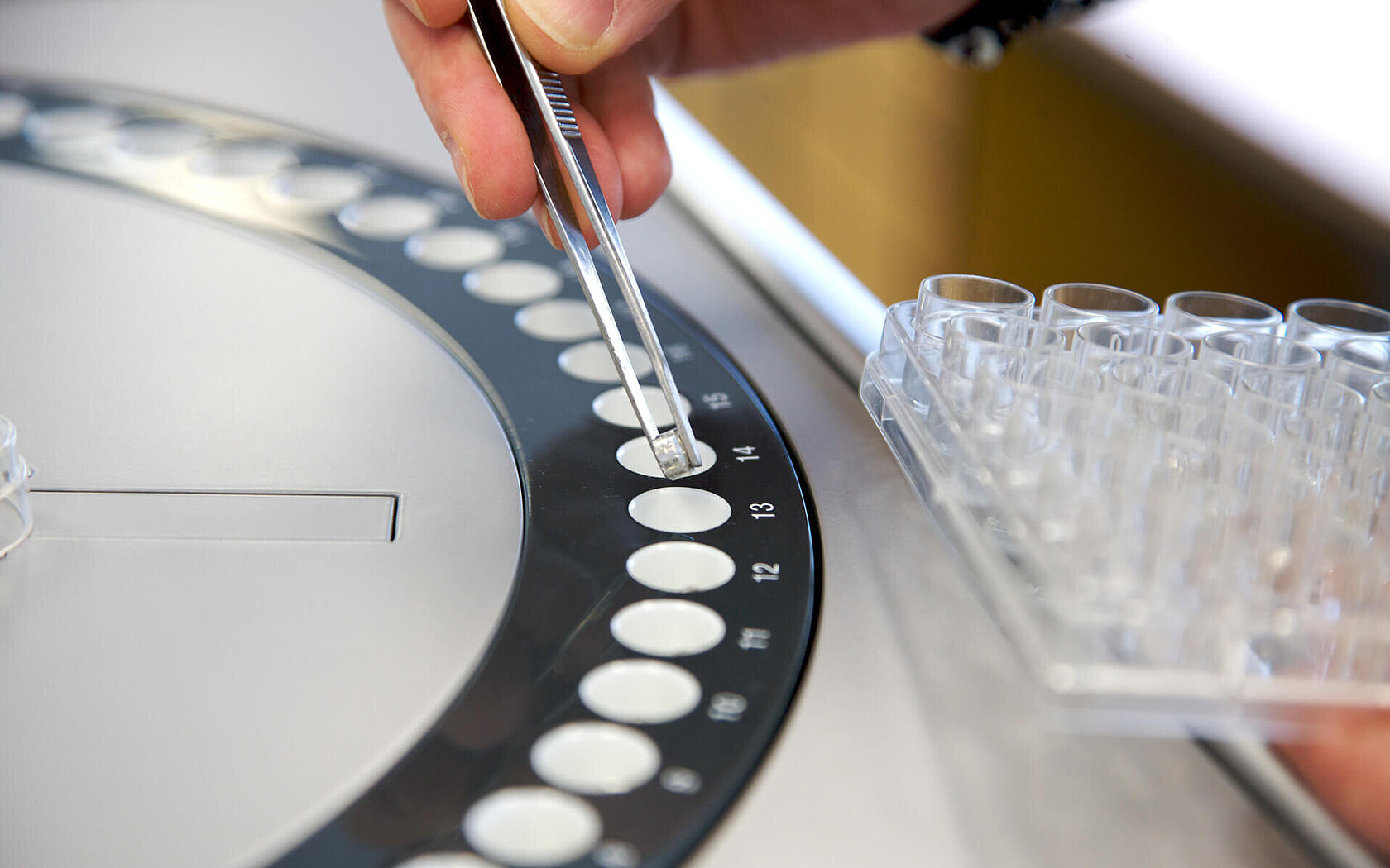 Organic elemental analyzer vario MACRO cube - Elementar