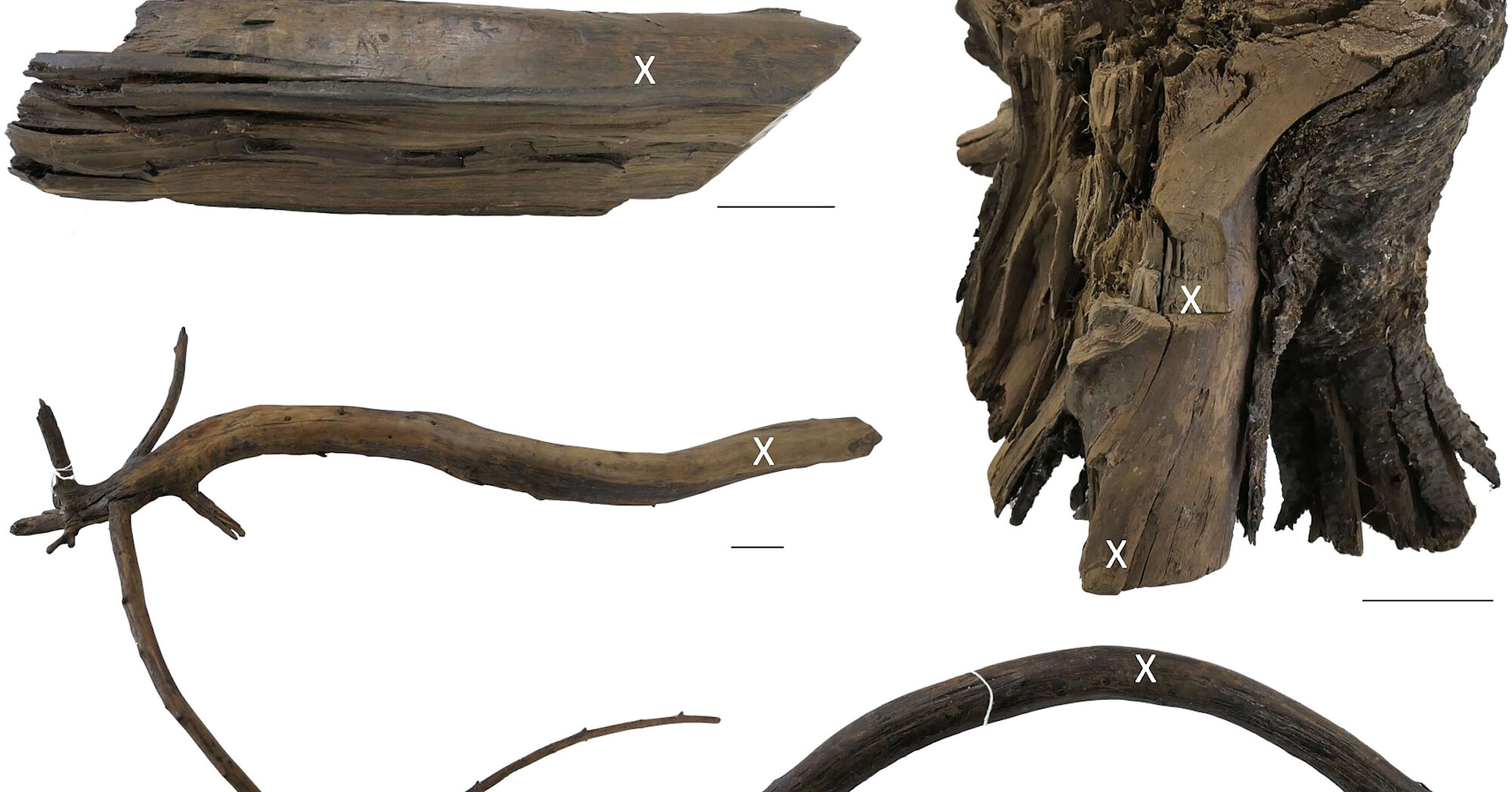 Evidence for European presence in the Americas in AD 1021 - Elementar