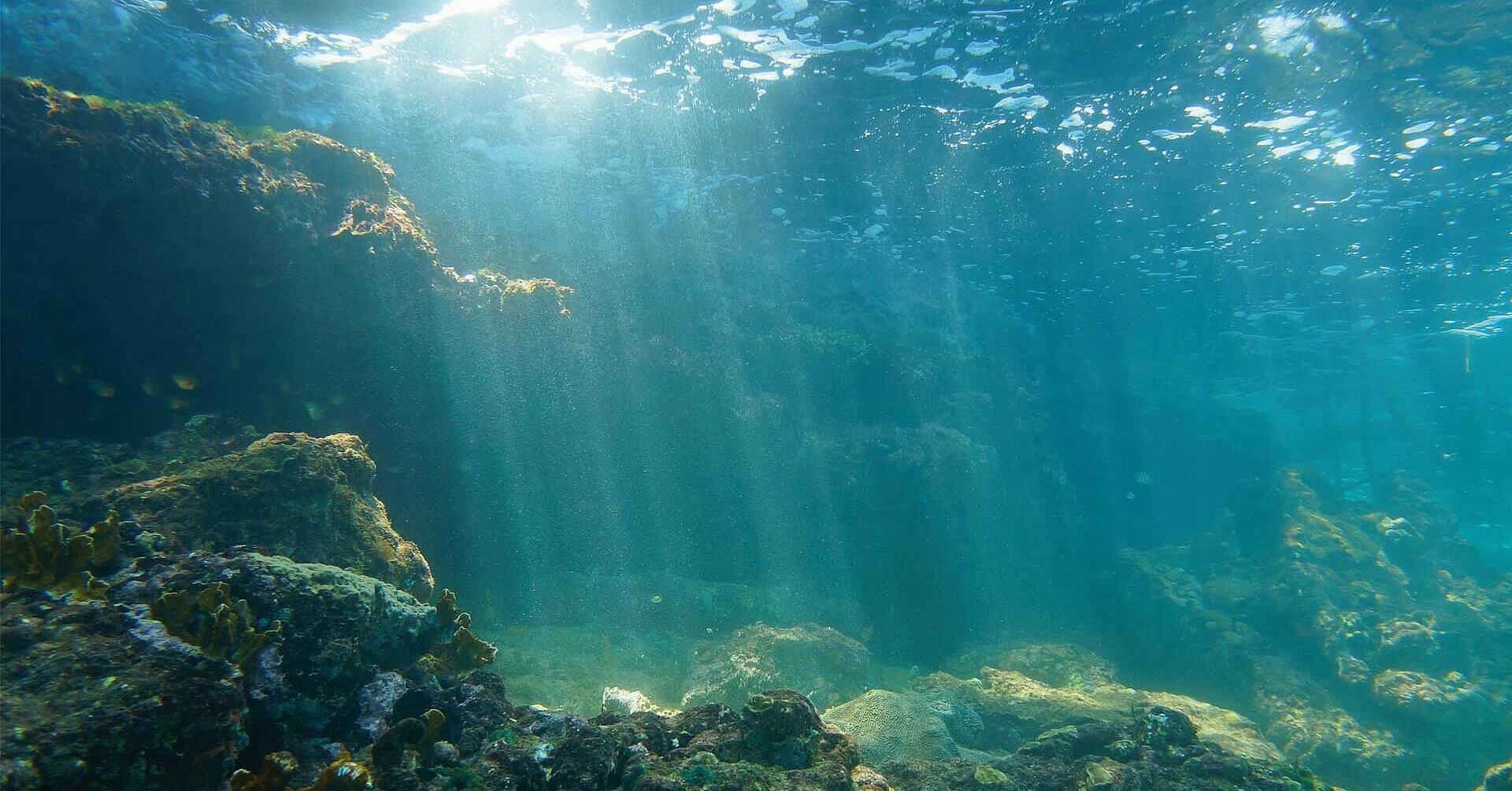 Fast determination of TOC in seawater - Elementar