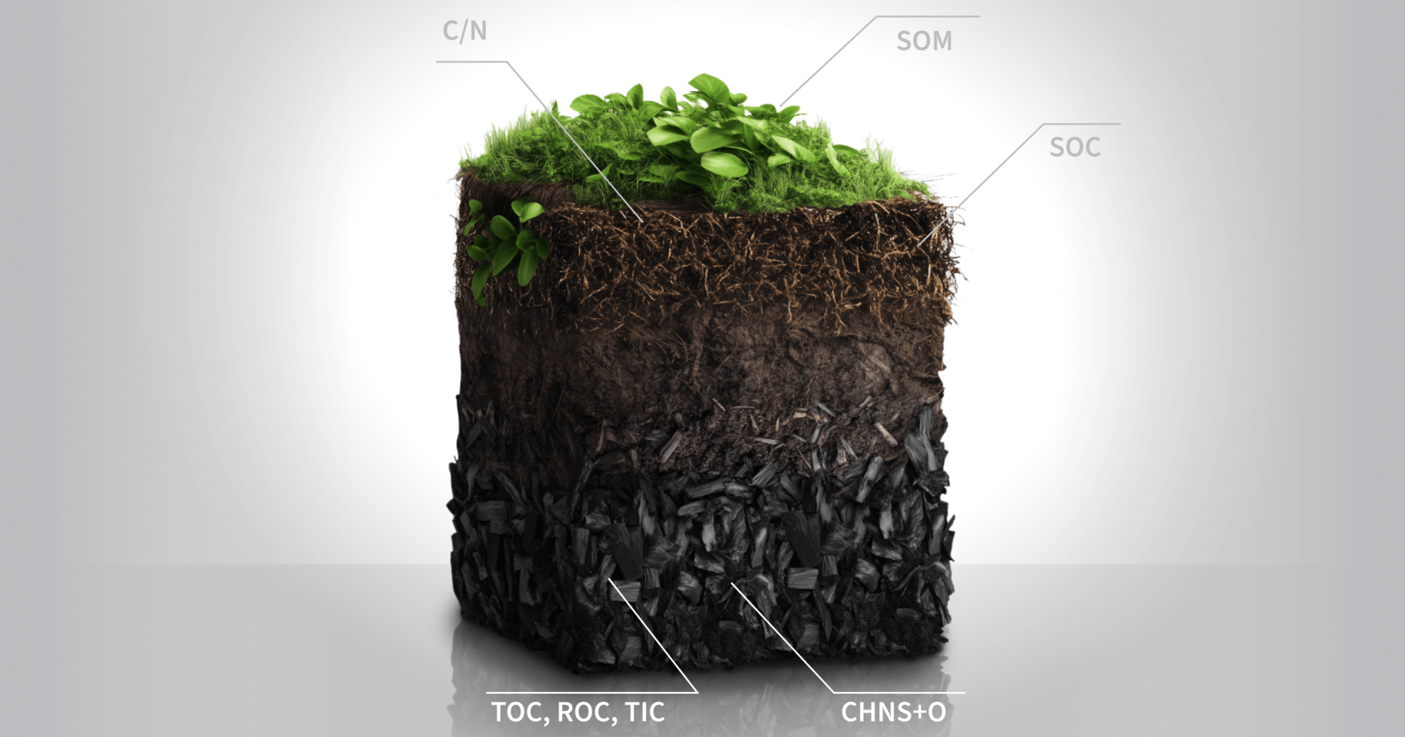 Reliable Carbon Analysis | Precision CHNS & TOC Analyzers for Labs ...