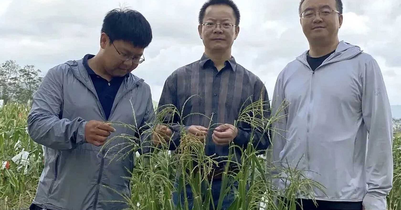 Customer Spotlight: CAS Center for Excellence in Molecular Plant ...