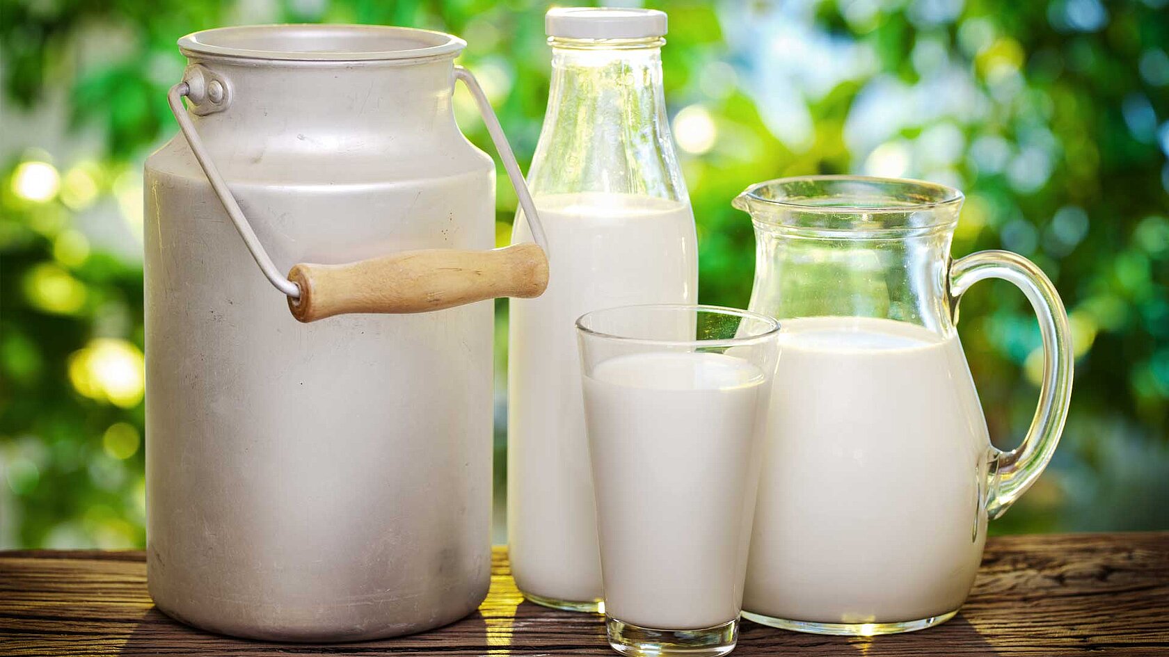 N/protein analysis in milk with the rapid MAX N exceed - Elementar