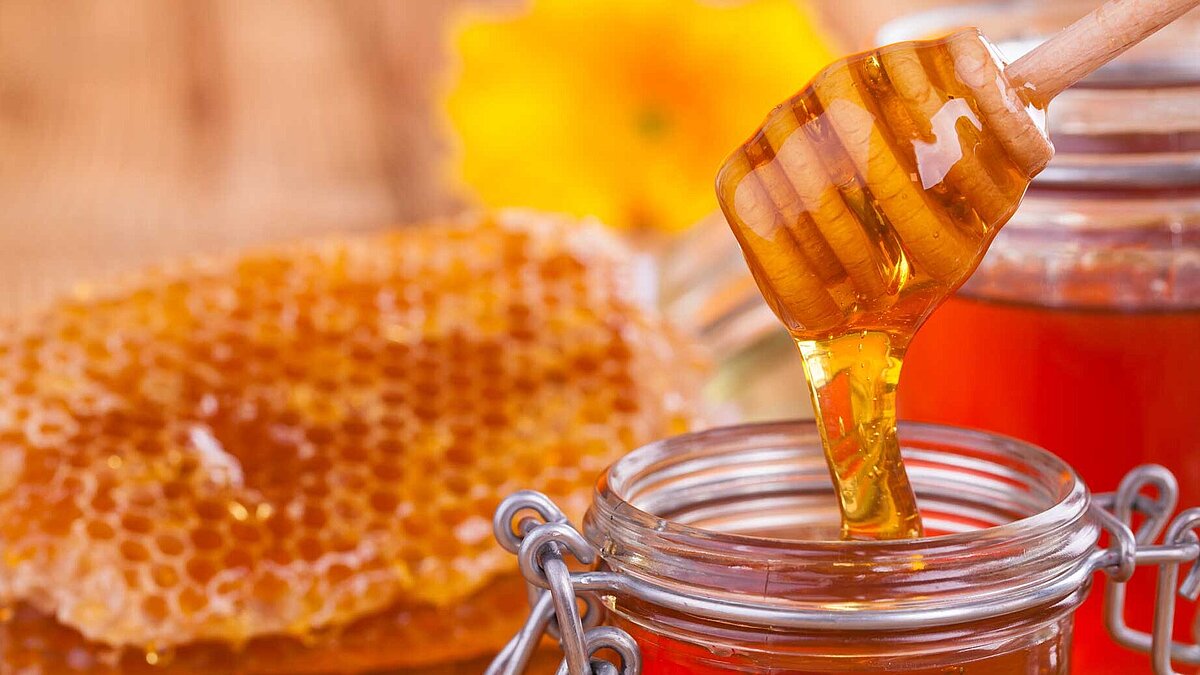 Instrumentation for food authenticity testing - Elementar