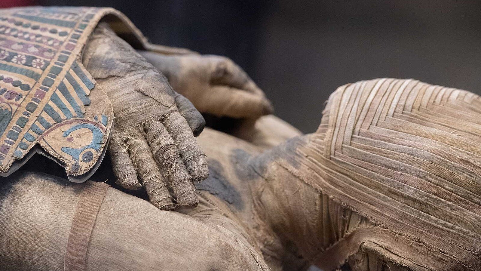 Why analyzing mummies? - Elementar