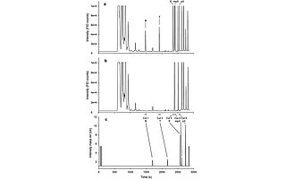 2D GC-GC5-IRMS analysis in environmental science - Elementar