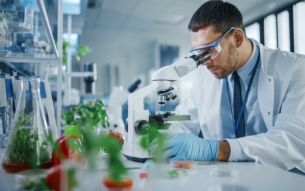 Plant to plate - Elementar