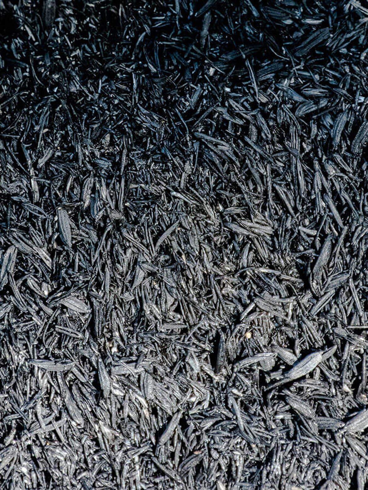 Reliable Carbon Analysis | Precision CHNS & TOC Analyzers for Labs - Elementar