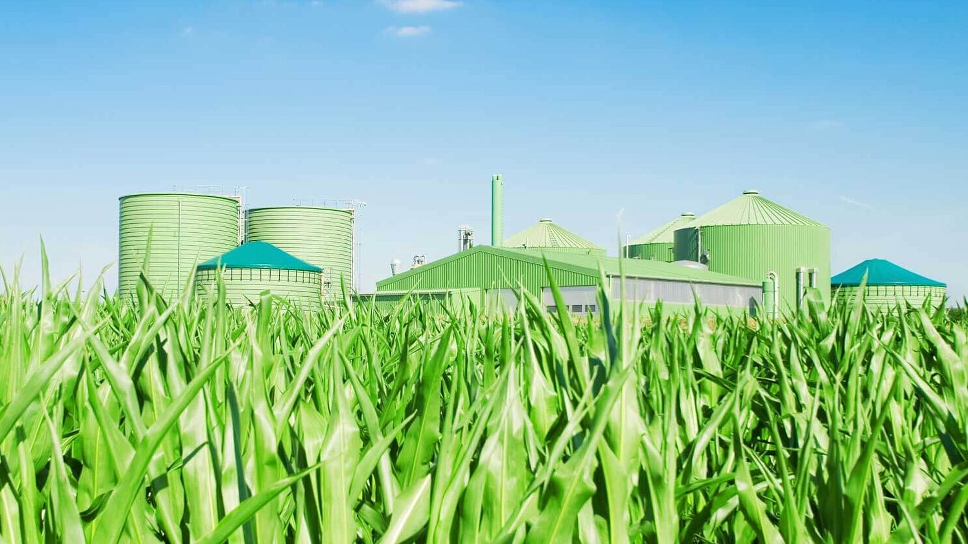 Carbon from organic waste - Elementar