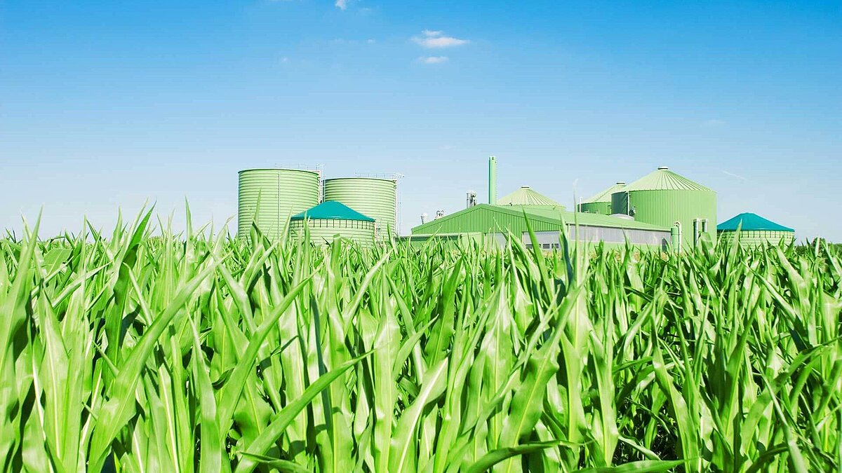 CHNS determination in biomass and alternative fuels using the vario ...