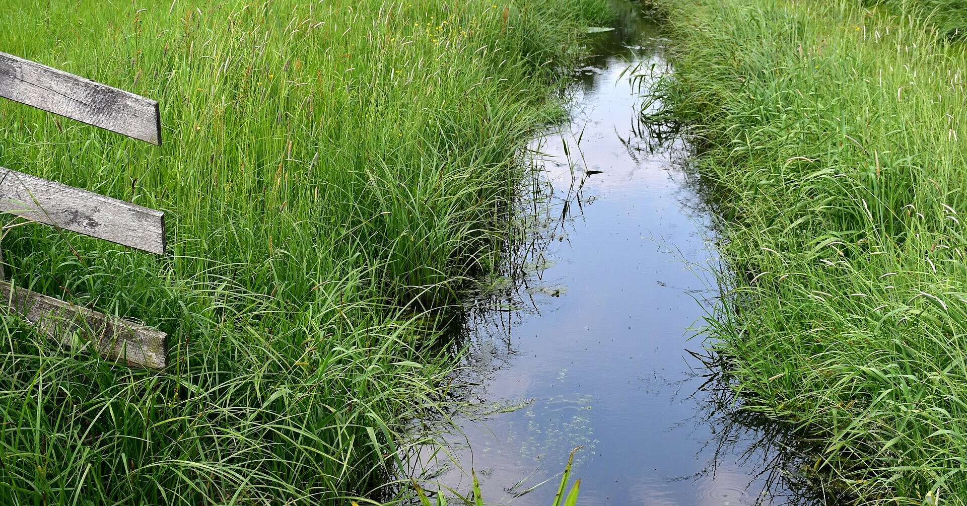 25 Years of Carol Kendall’s Stable Isotope Plot - Elementar UK - Elementar