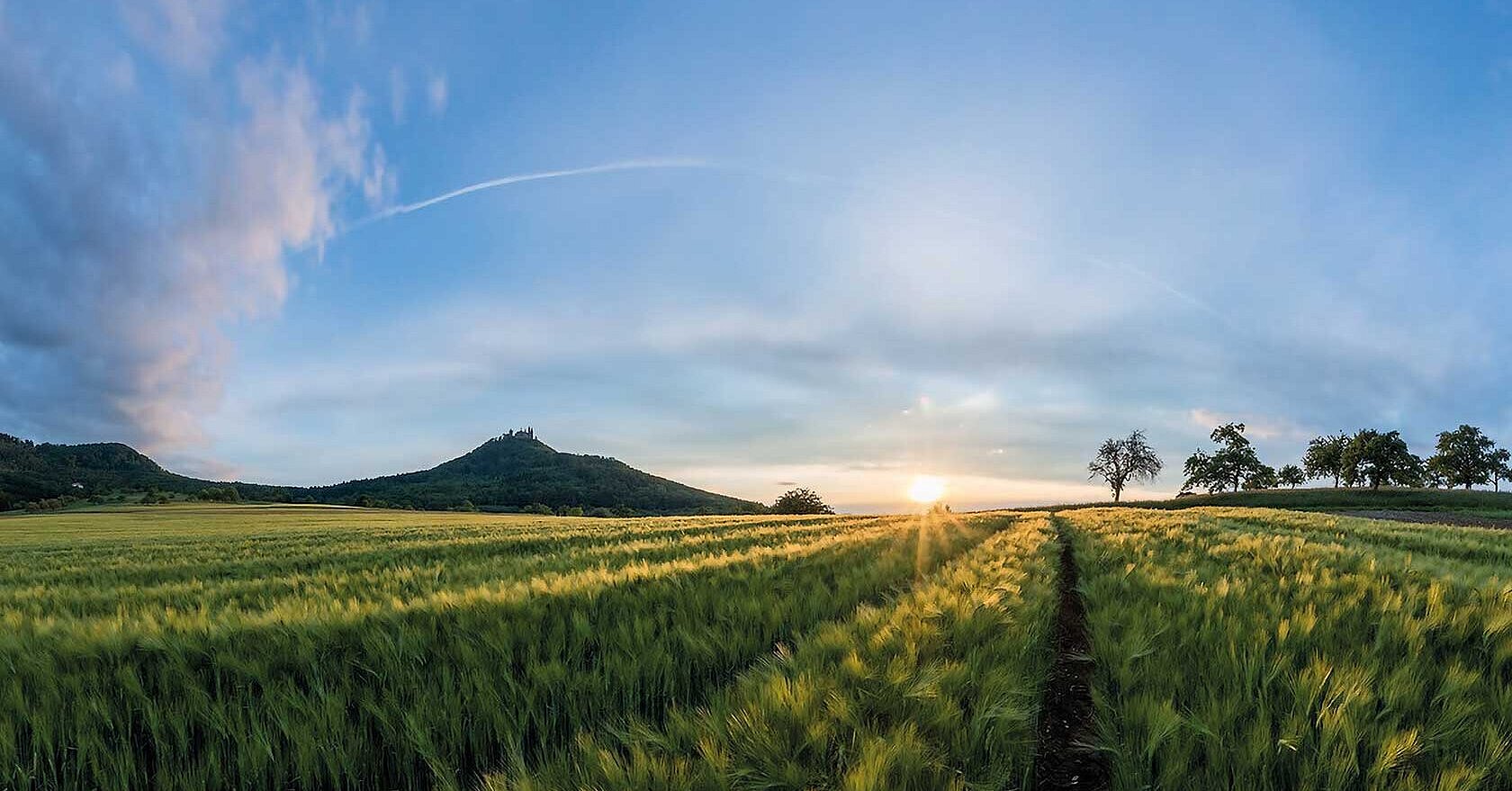 Understanding how soil works - Elementar