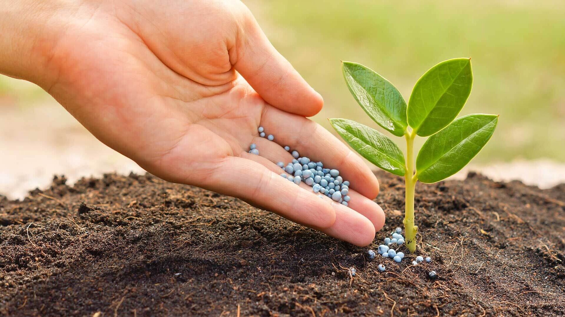 EAS PROFER For PROfitable FERtilizer Analysis Elementar