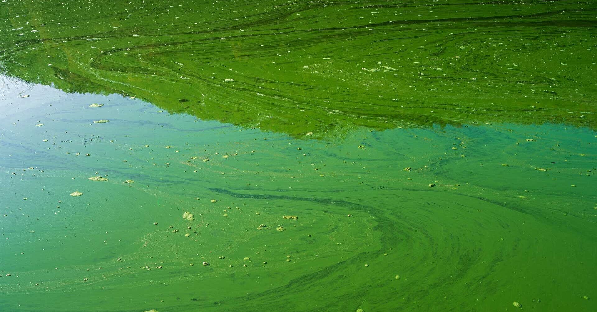 Zero isotope exchange between δ18O Nitrate & δ18O Water - Elementar