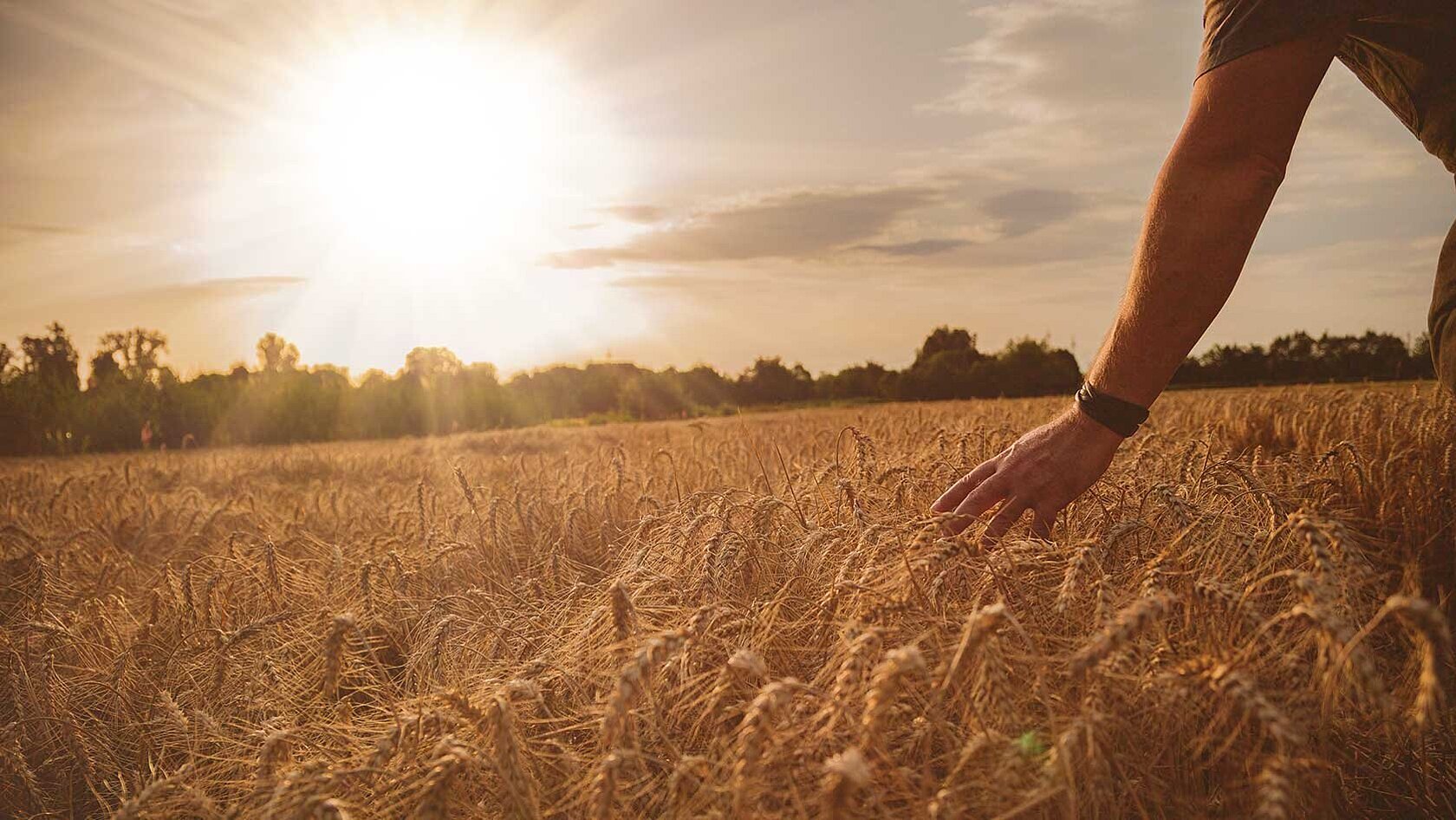 Yield optimization with soil analysis - Elementar